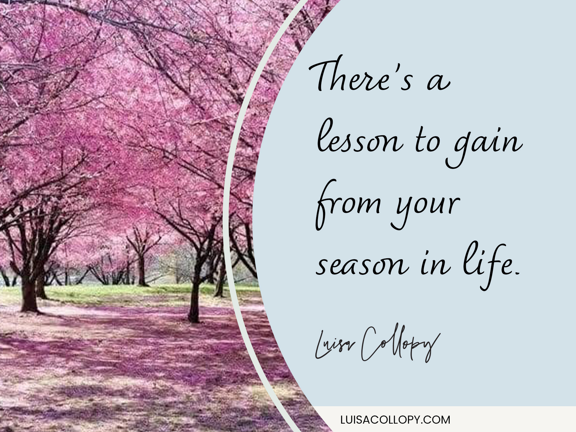 What’s Your Season? - Luisa Collopy